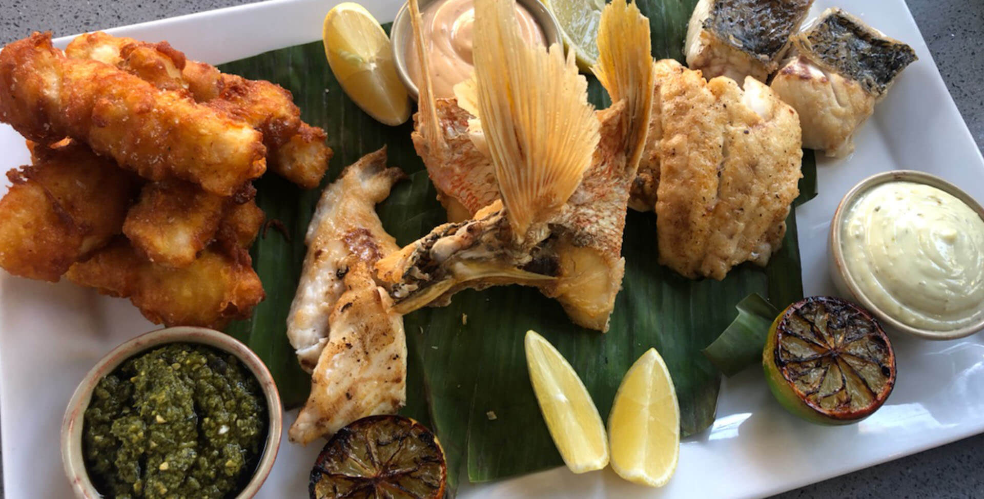 Catch & Cook - Gone Fishing